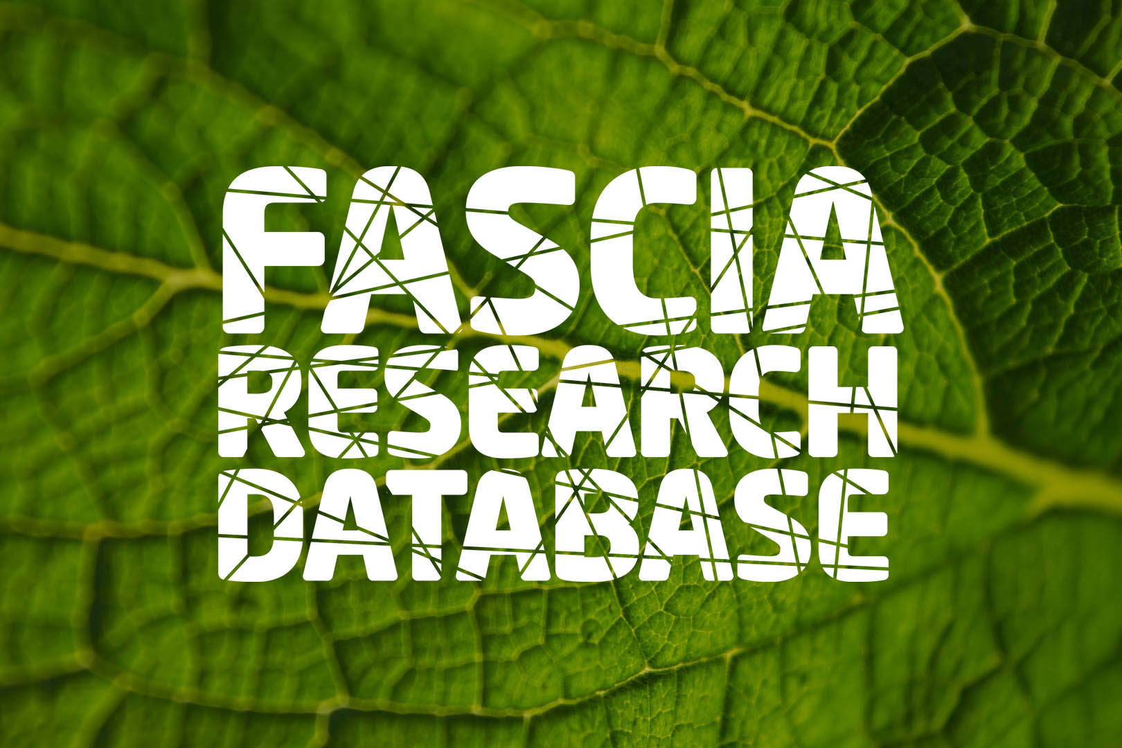 Fascia Research Database - Fascia Innovation